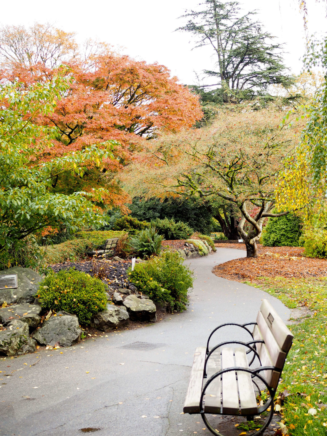 Queen Elizabeth Park Photo Tour - Appetites Abroad