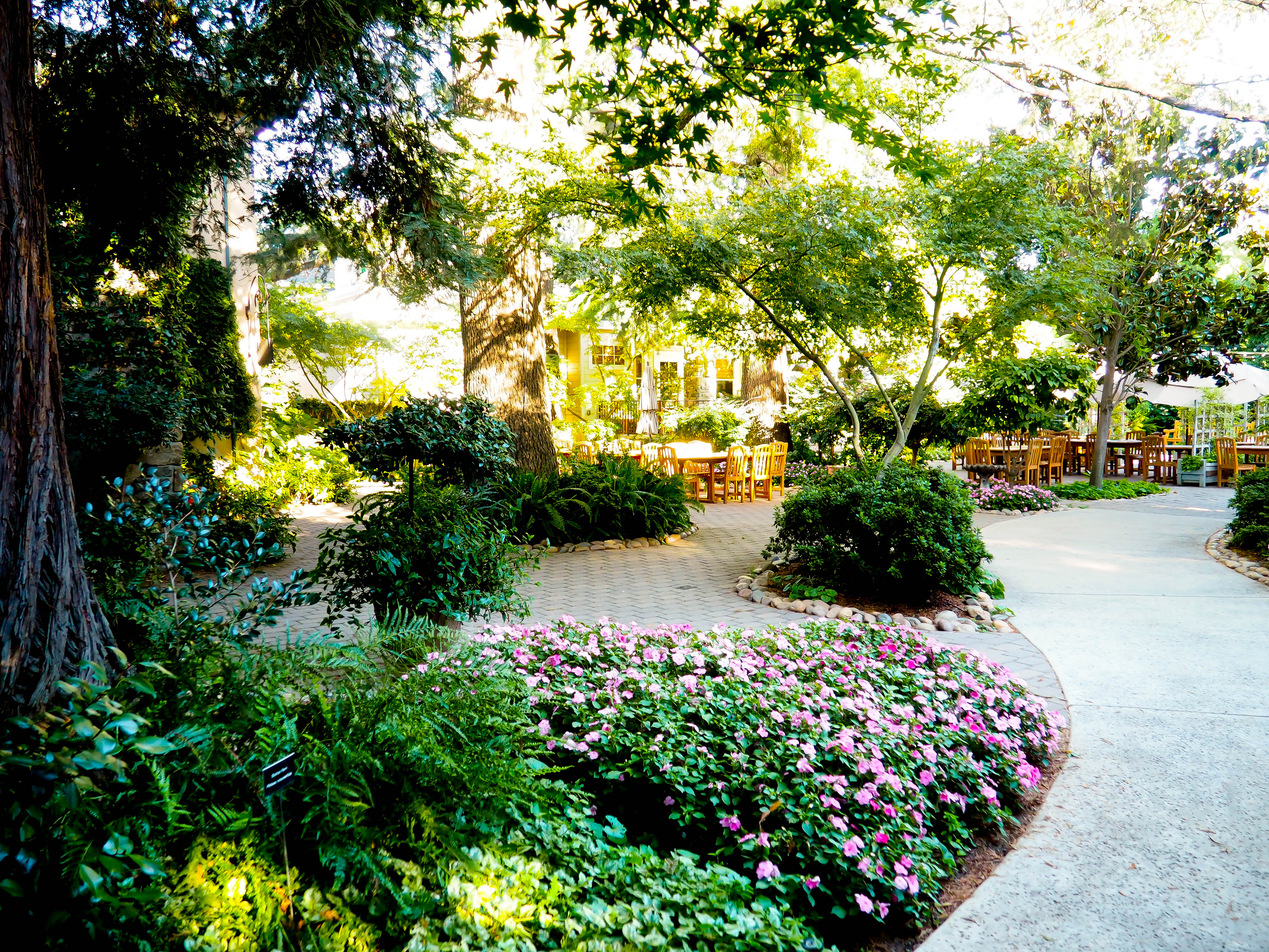 Lodi Travel Guide: Wine & Dine in California's Central Valley ...
