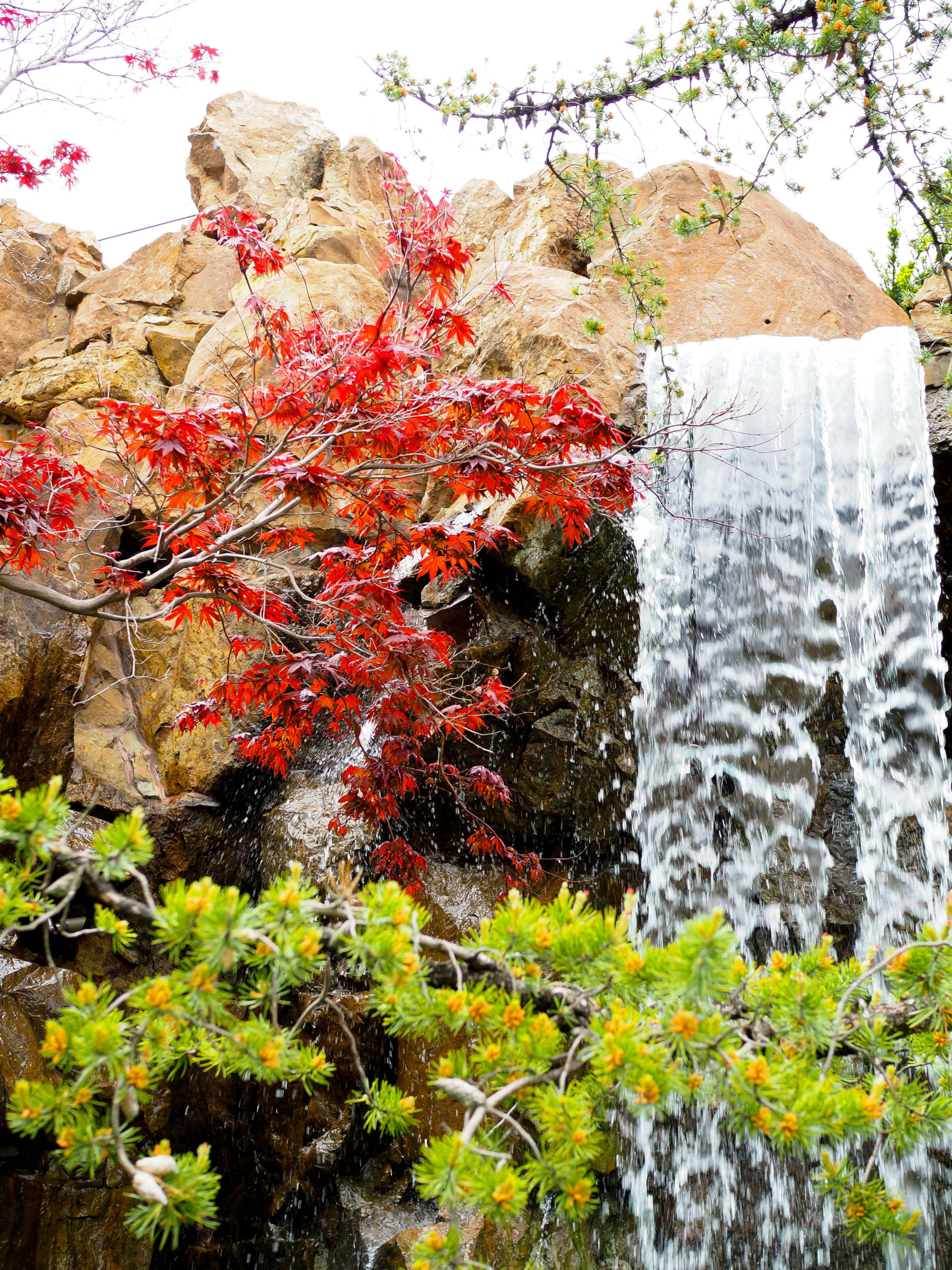 An Afternoon at Montreal Botanical Garden - A Photo Diary - Appetites ...