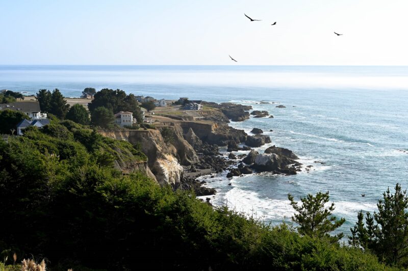 Tips for Visiting California's Lost Coast: A Secluded Escape ...