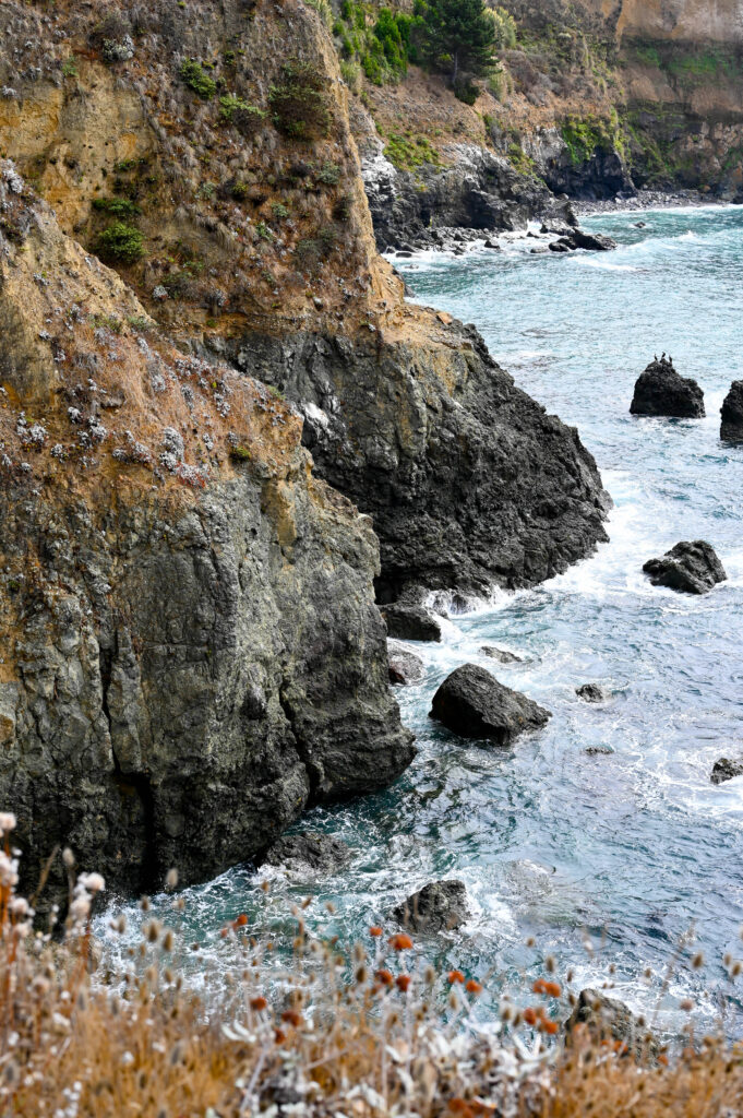 Tips for Visiting California's Lost Coast: A Secluded Escape ...