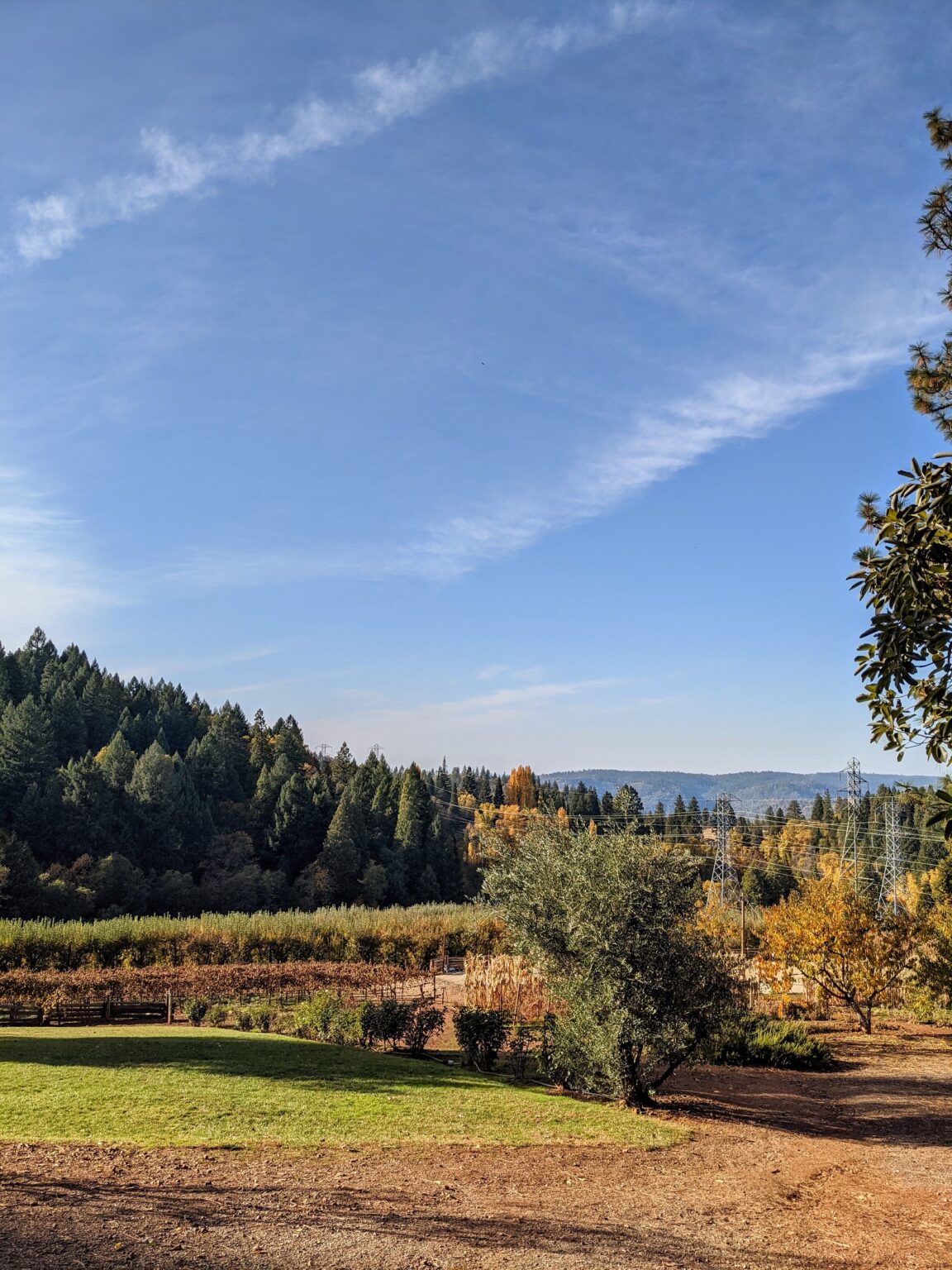 Apple Hill: A Guide to the Perfect California Fall Destination ...