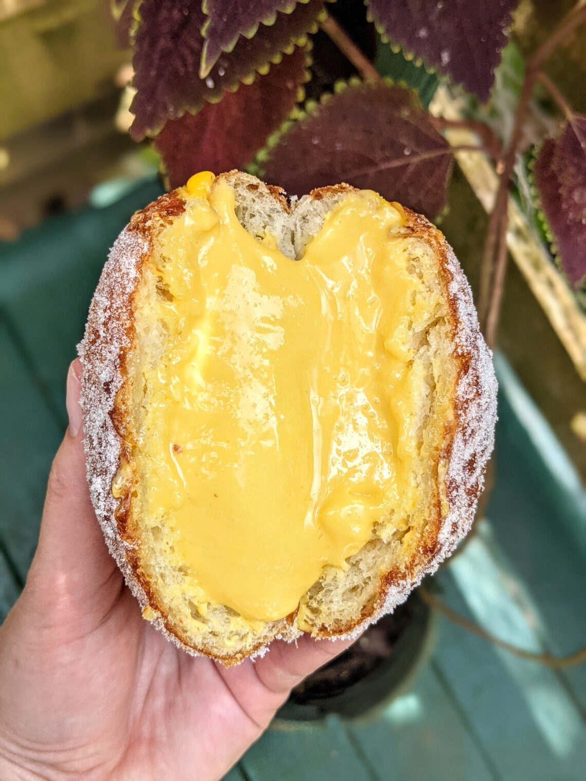 12 Must-Try Desserts & Sweet Treats on Maui - Appetites Abroad