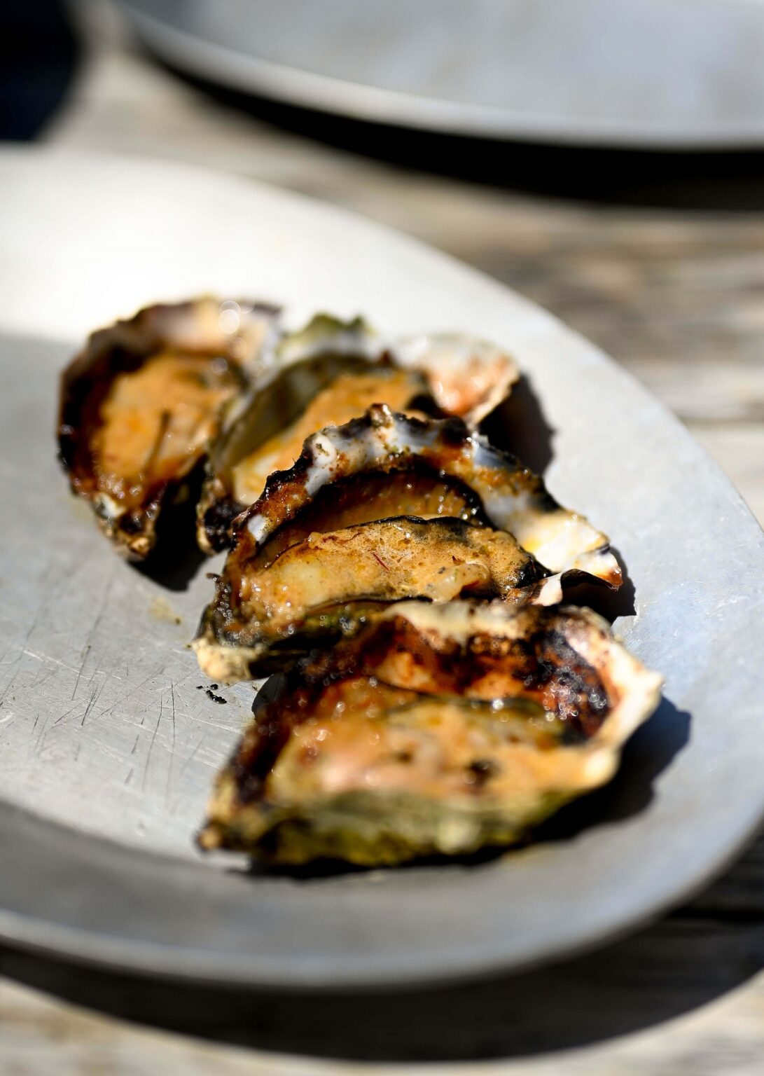 Point Reyes & Tomales Bay Day Trip Ideas from the San Francisco Bay ...