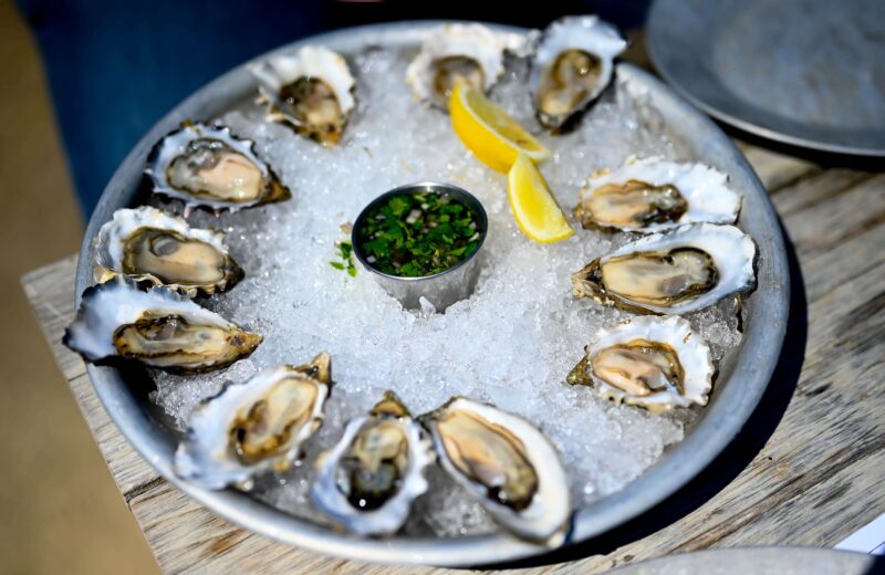 Point Reyes & Tomales Bay Day Trip Ideas from the San Francisco Bay ...