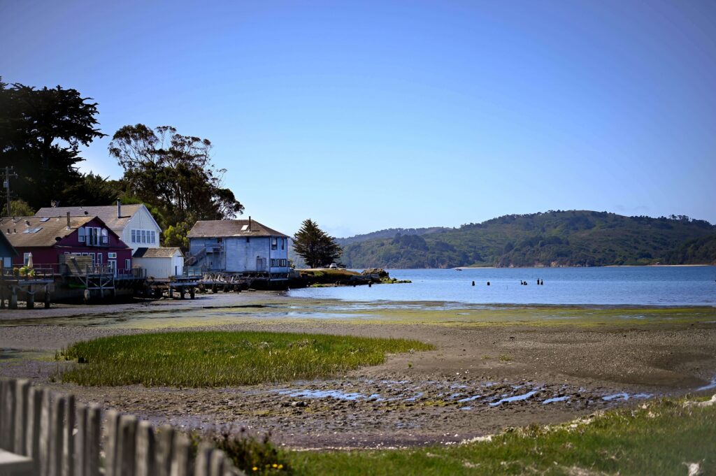 Point Reyes & Tomales Bay Day Trip Ideas from the San Francisco Bay ...