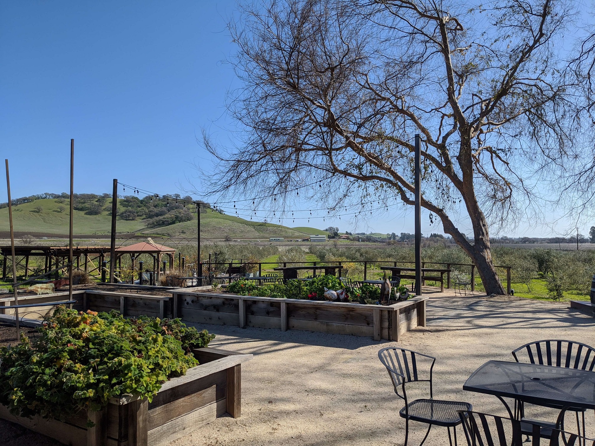 Discover the Underrated Wine Region of Suisun Valley (Where to Eat ...