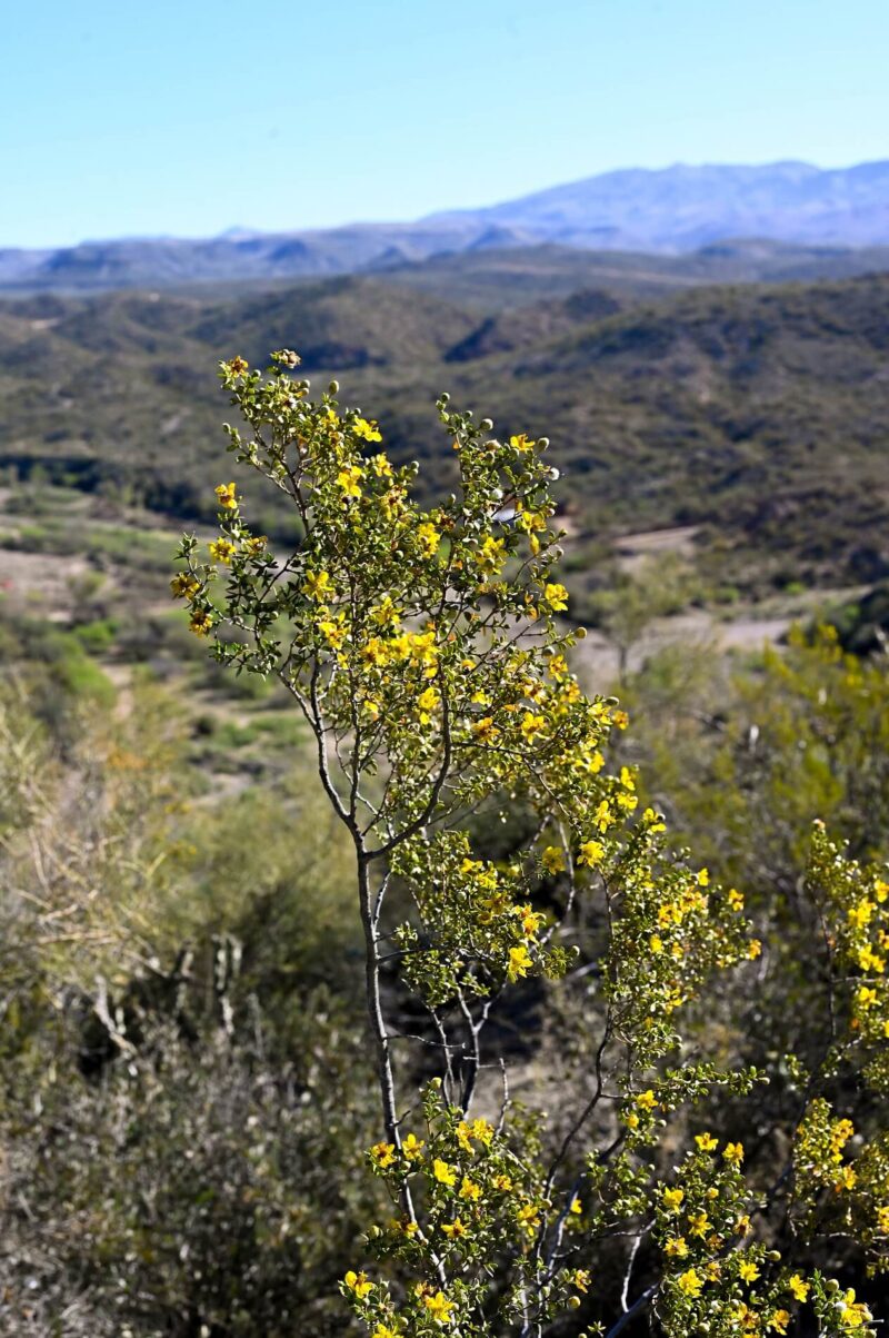 Desert Off-Road UTV Adventure in Phoenix, Arizona - One of the Best ...
