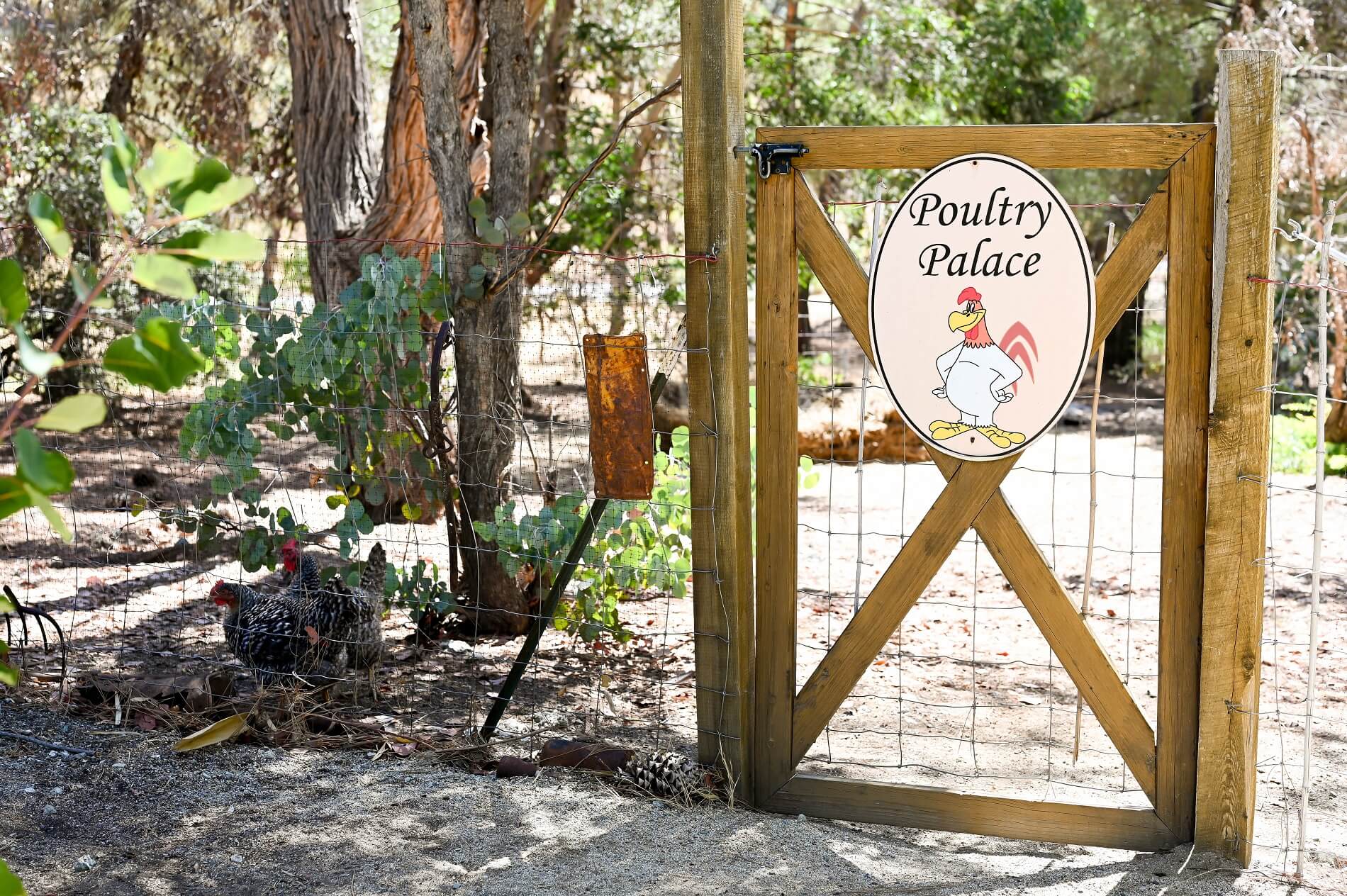 A Romantic Weekend Getaway at the Eden Vale Inn in Placerville, CA ...