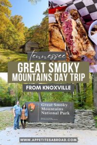 Great Smoky Mountains National Park Day Trip from Knoxville - Appetites ...