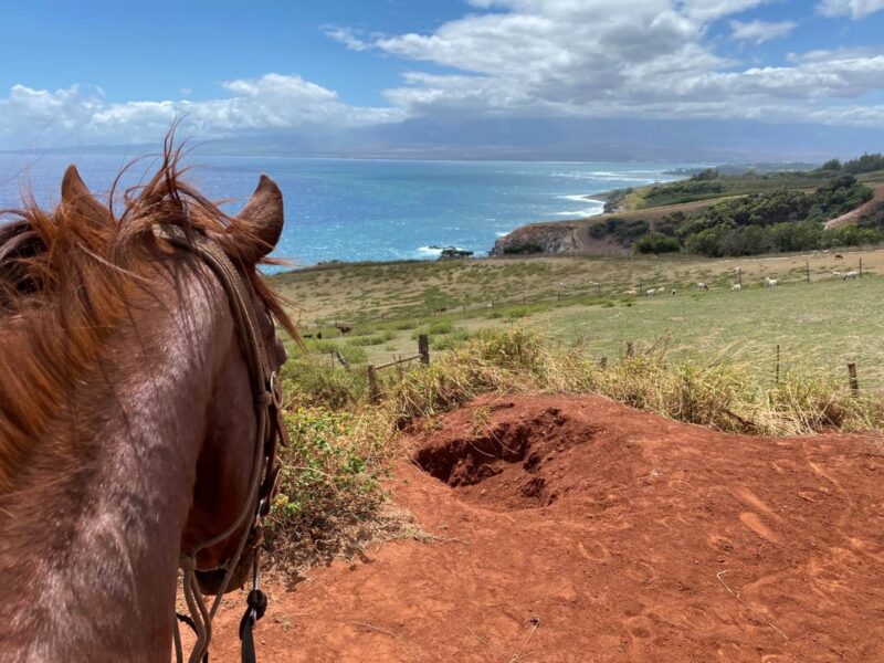 Horseback-Riding-Views-on-Maui - Appetites Abroad