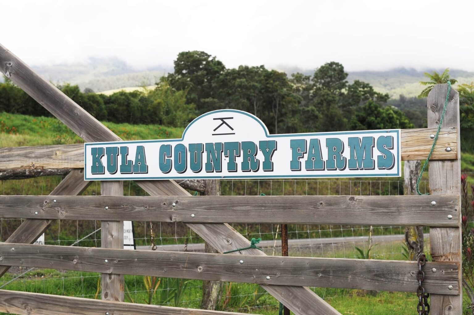Best Things to Do in Upcountry Maui - Appetites Abroad